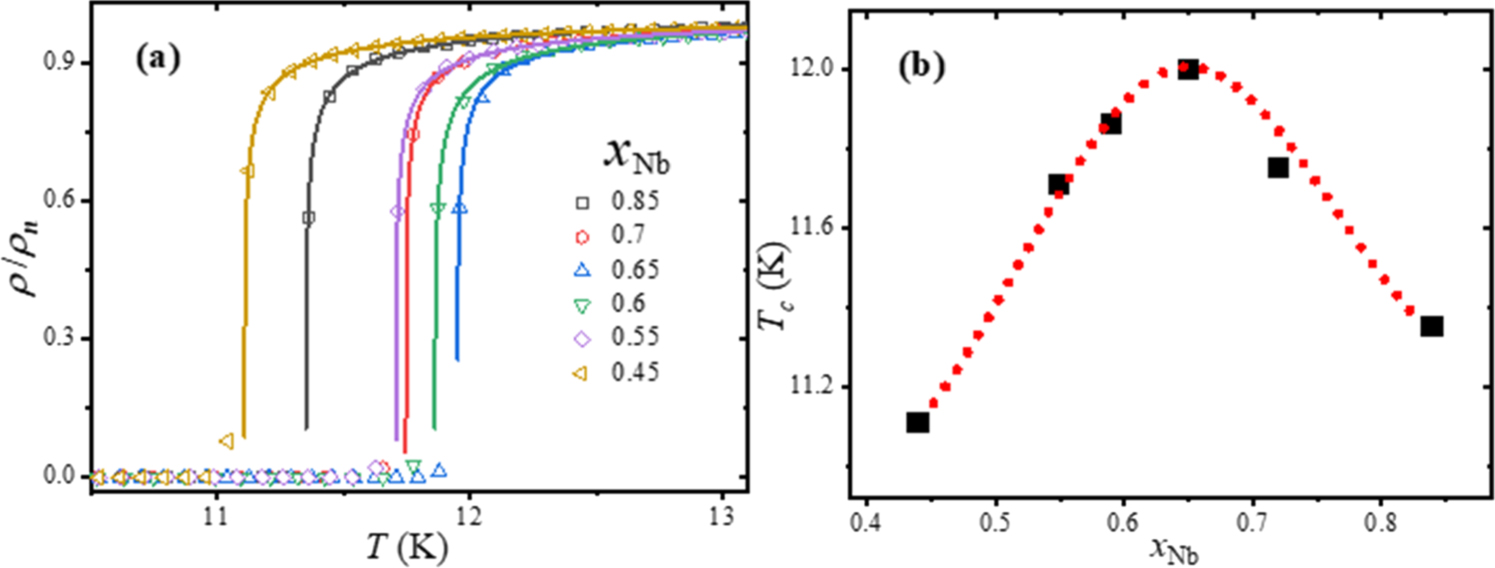 Single photon detection performance of highly disordered NbTiN thin ...