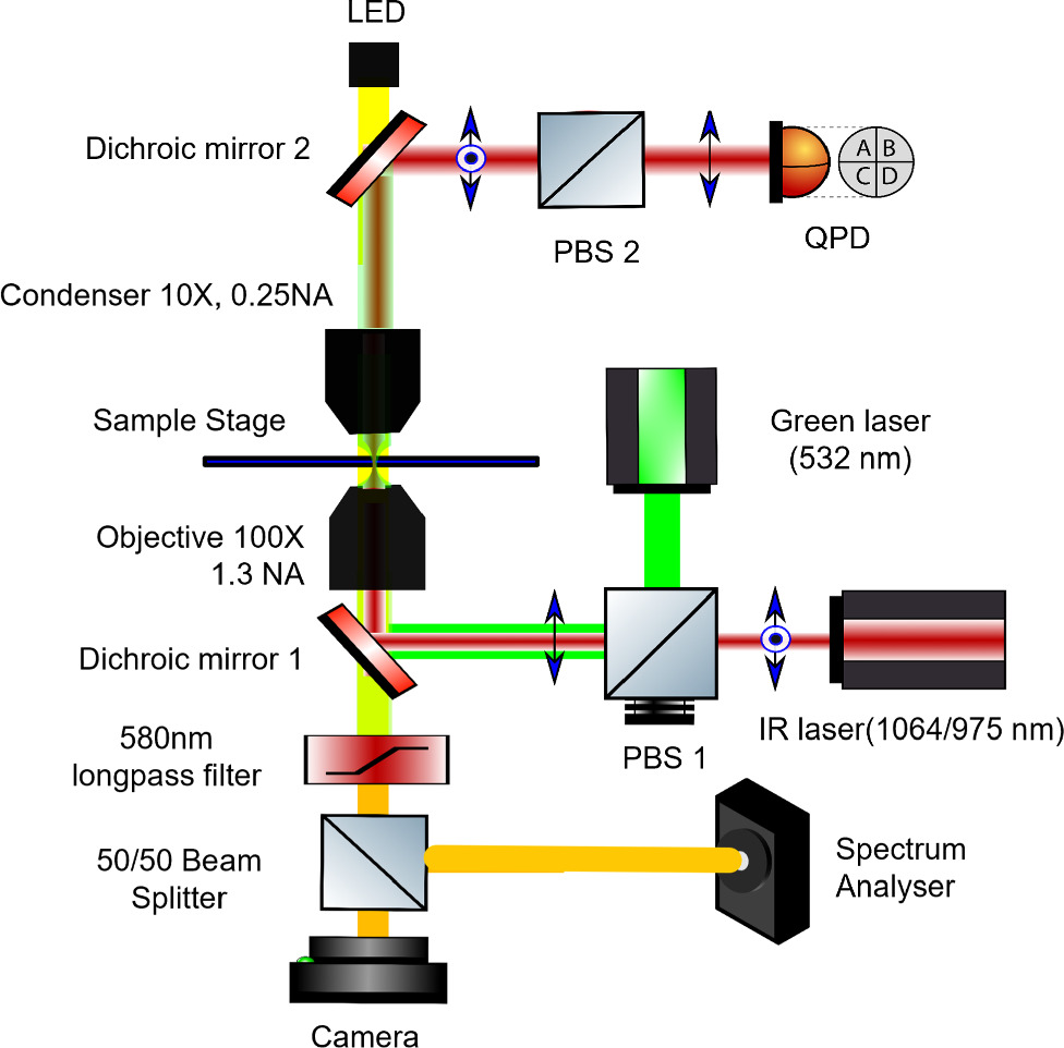 Comparison of optical trapping wavelengths for nanoscopic diamonds ...