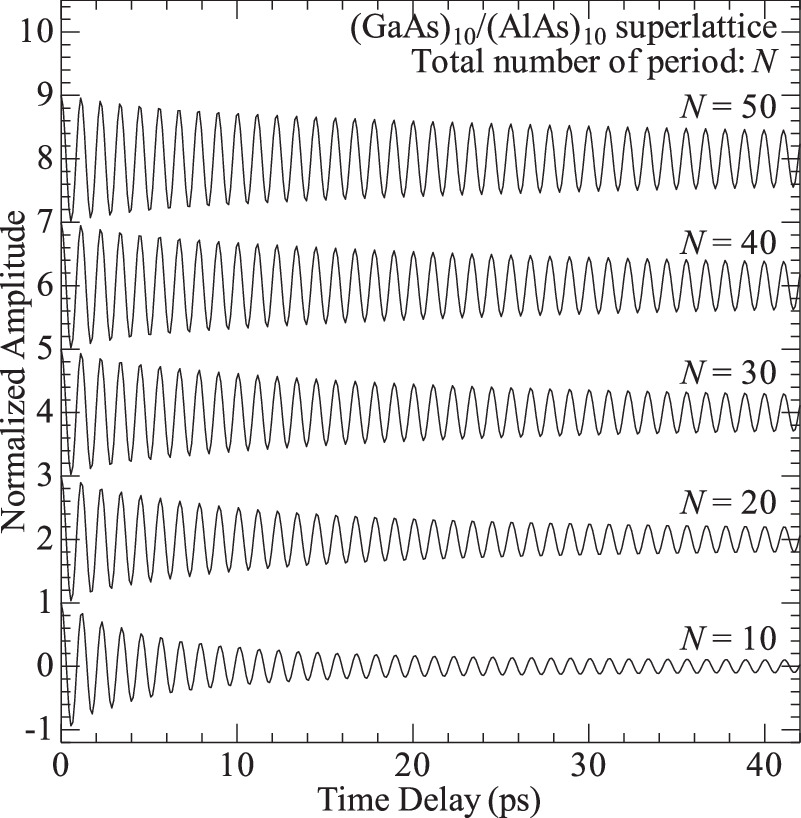 Free induction decay processes of coherent folded longitudinal acoustic ...