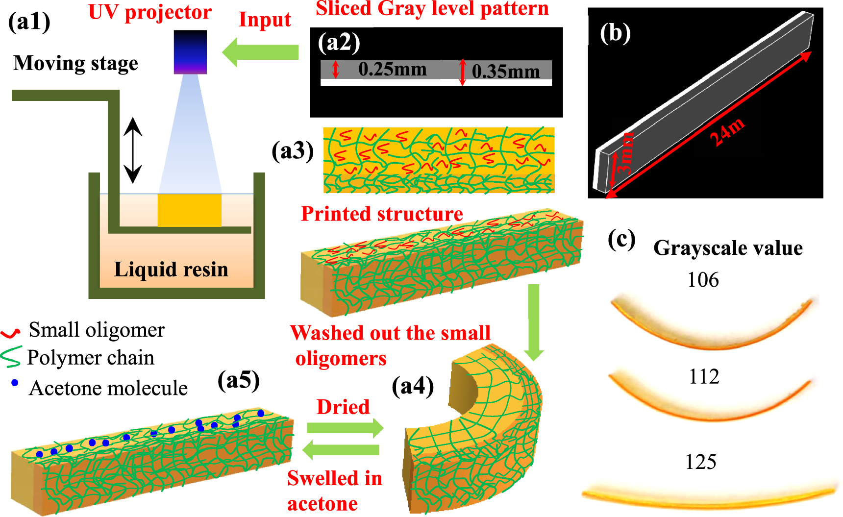 Reversible shape change structures by grayscale pattern 4D printing ...