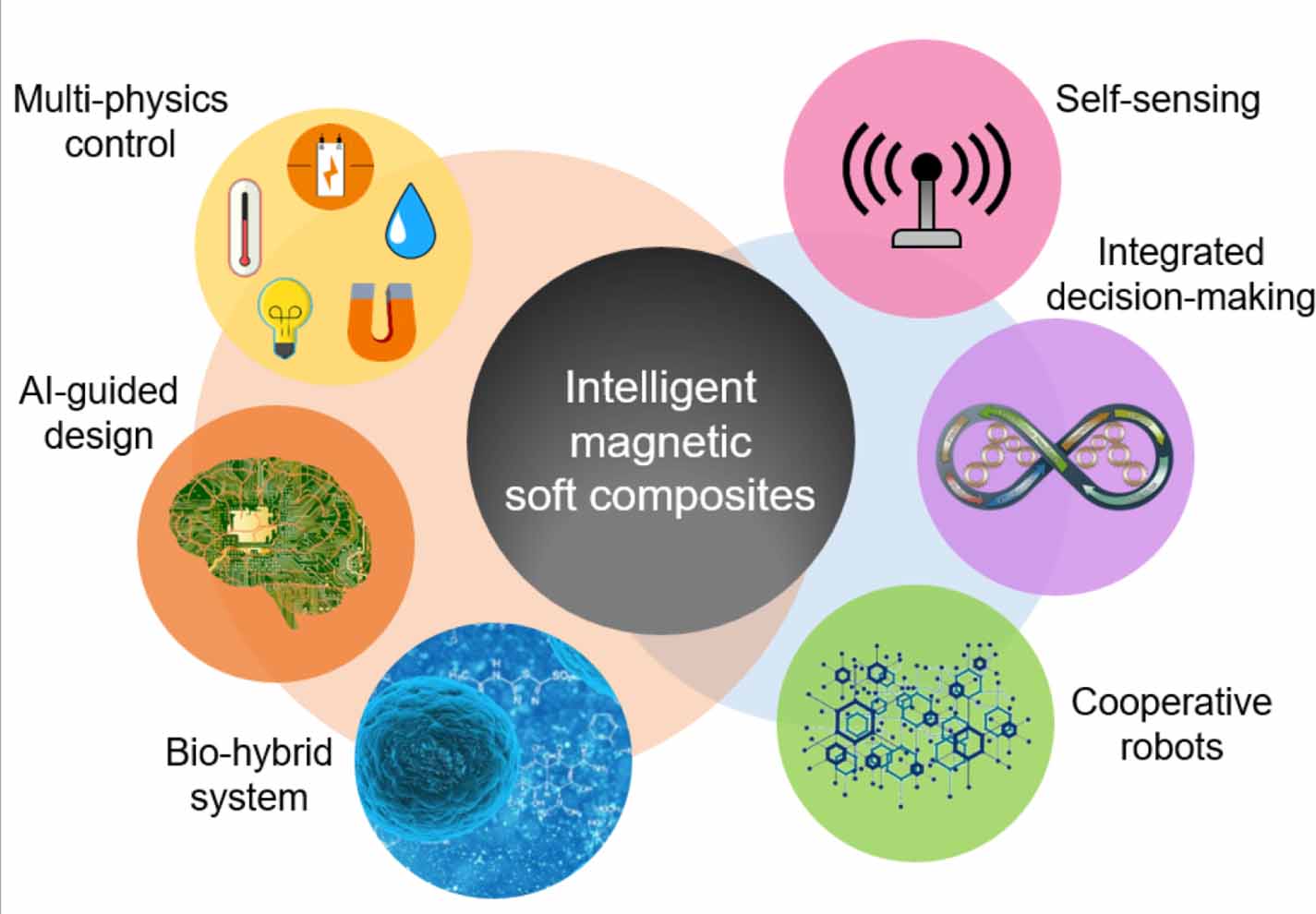 Multifunctional magnetic soft composites: a review - IOPscience