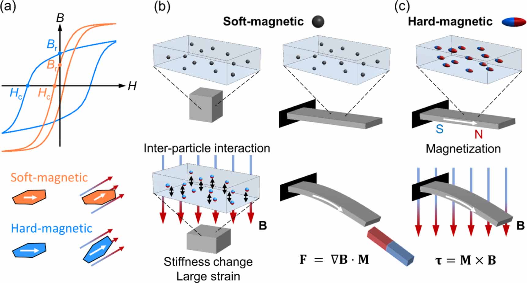 Multifunctional magnetic soft composites: a review - IOPscience