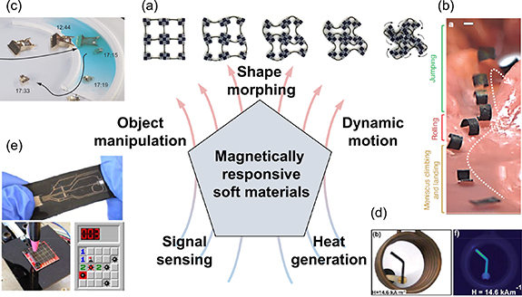 Multifunctional magnetic soft composites: a review - IOPscience