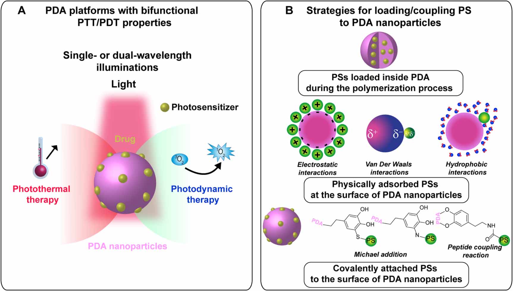 Multifunctional polydopamine-based nanoparticles: synthesis, physico ...