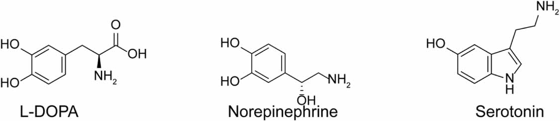 Multifunctional polydopamine-based nanoparticles: synthesis, physico ...