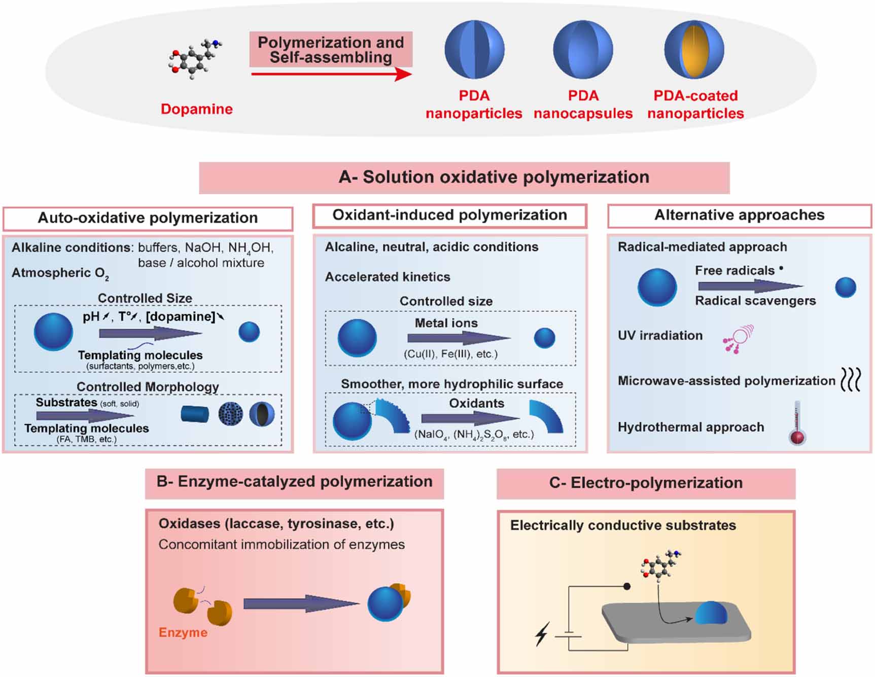 Multifunctional polydopamine-based nanoparticles: synthesis, physico ...