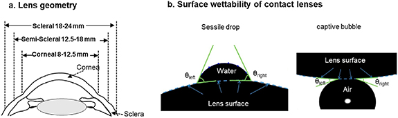 Multifunctionality as design principle for contact lens materials ...