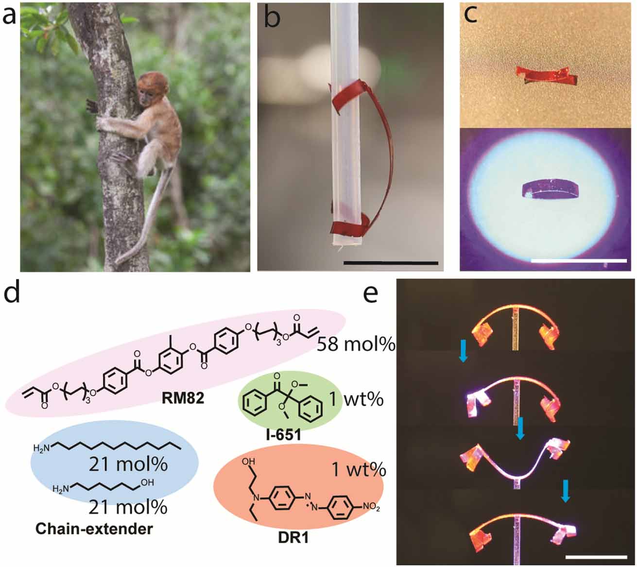 Optically controlled grasping-slipping robot moving on tubular surfaces ...