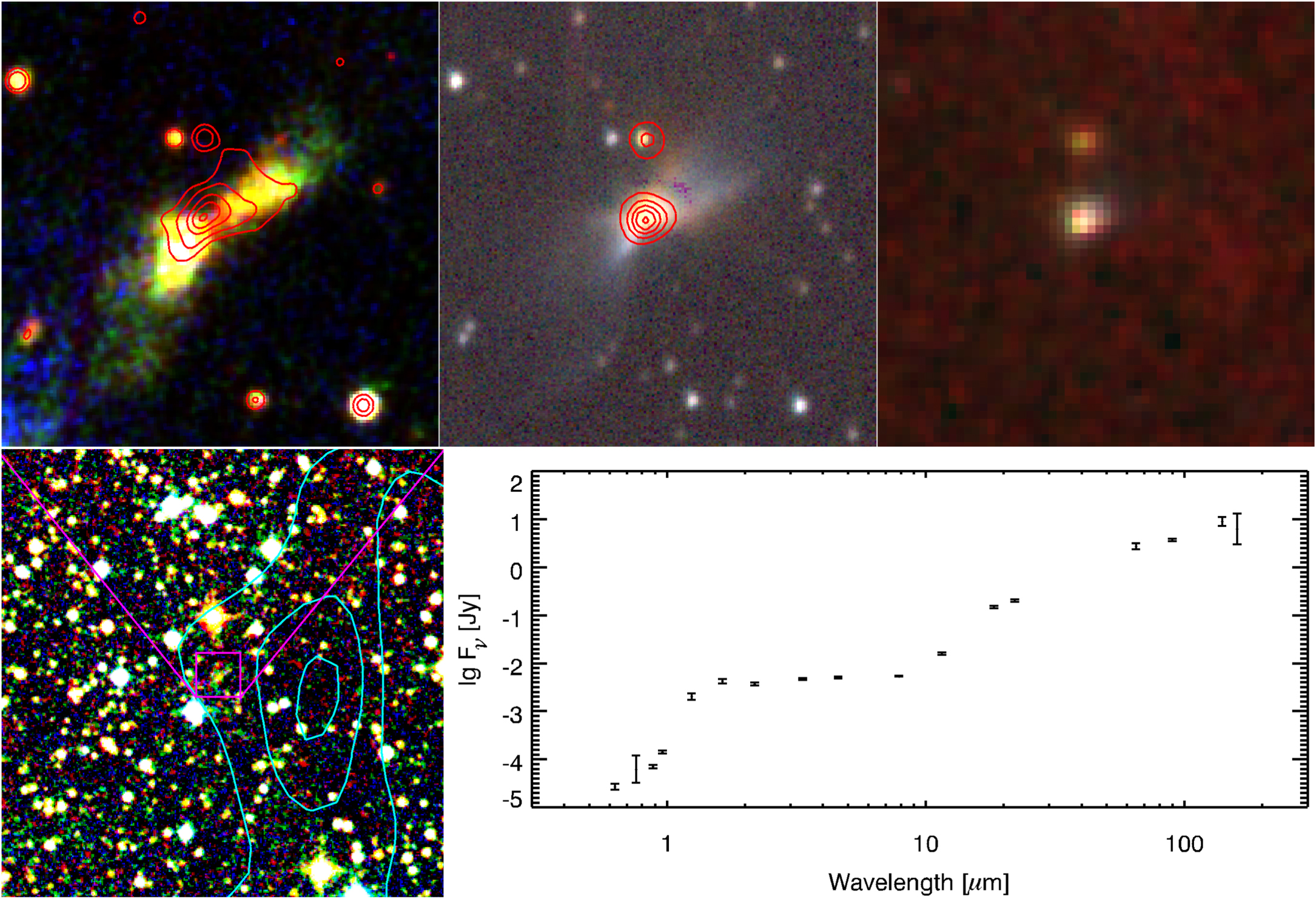 Discovery of a Candidate Young Stellar Object in a Citizen Science ...