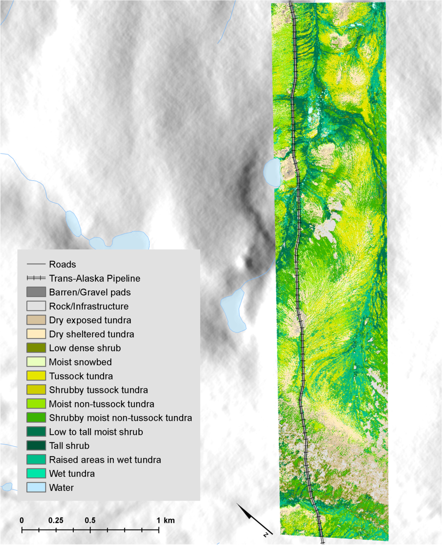 20 cm resolution mapping of tundra vegetation communities provides an ...