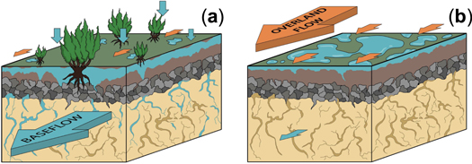 Woody plant encroachment enhances soil infiltrability of a semiarid ...