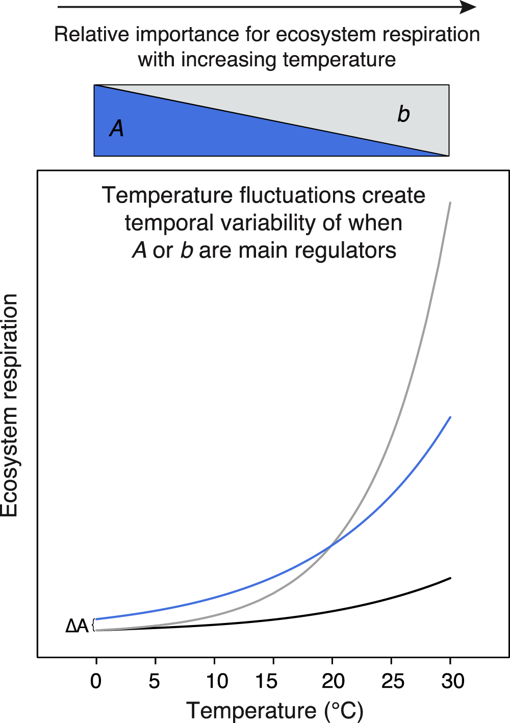 When does temperature matter for ecosystem respiration? - IOPscience