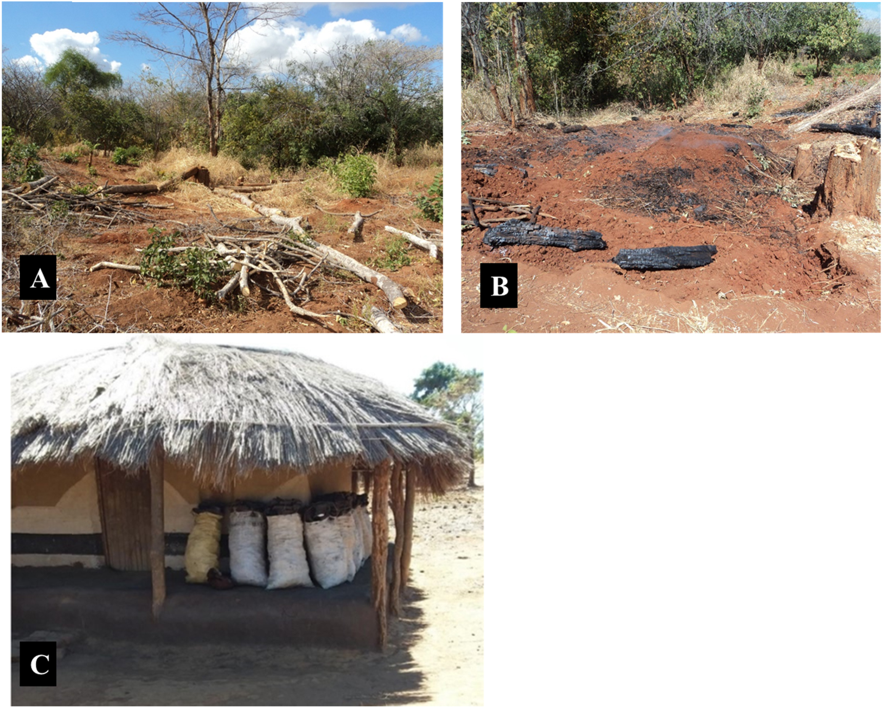 Assessment of land use change in the Thuma forest reserve region of ...