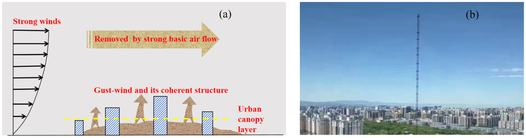 Important role of turbulent wind gust and its coherent structure in the ...