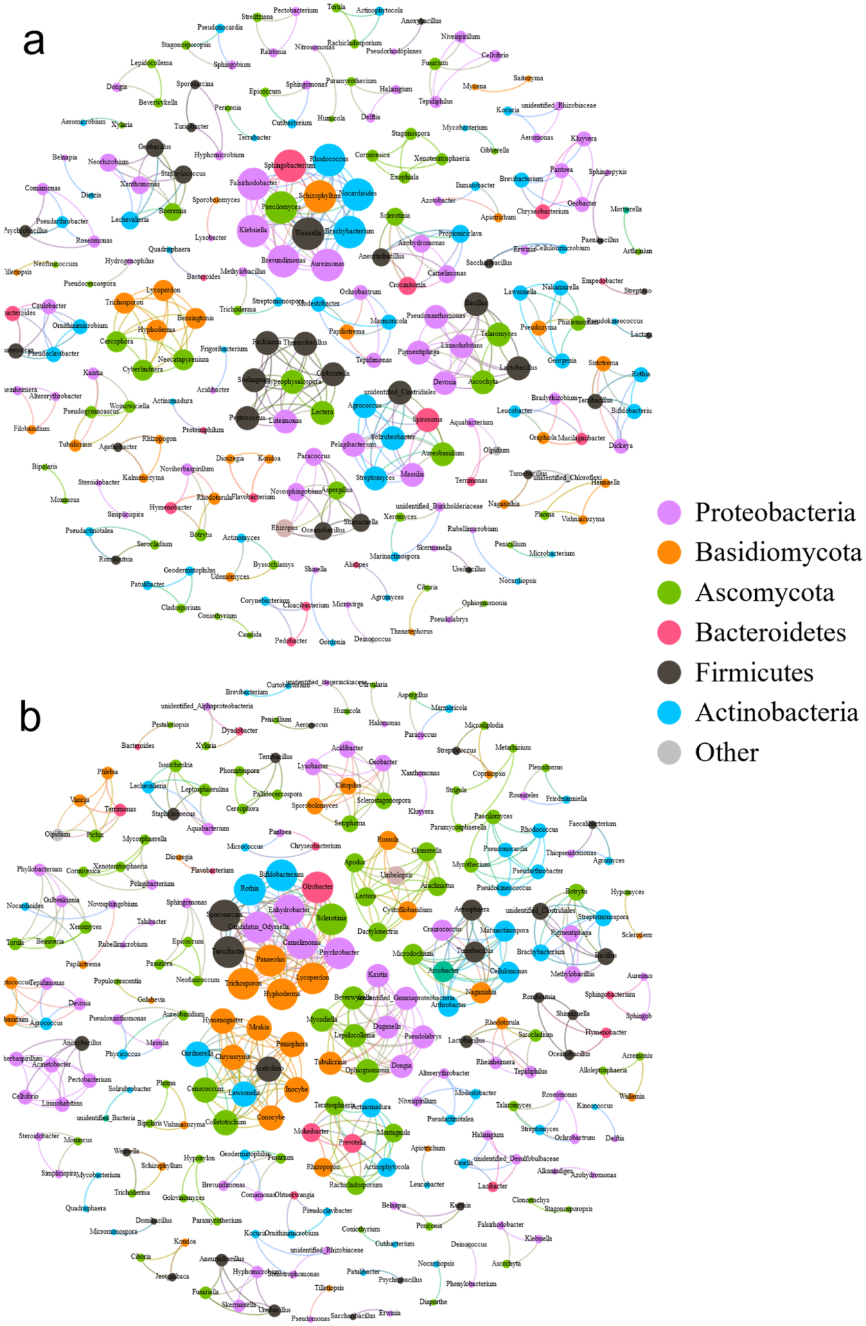 The diversity, structure and function of microbial communities changes ...