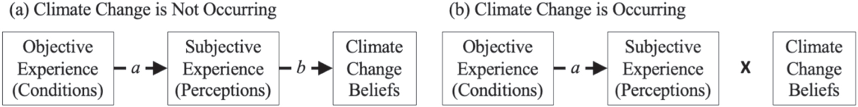 The causal impact of local weather anomalies on beliefs about the ...