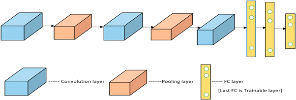High-performance deep transfer learning model with batch normalization based on multiscale ...