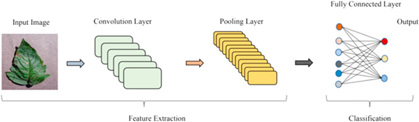 High-performance deep transfer learning model with batch normalization ...