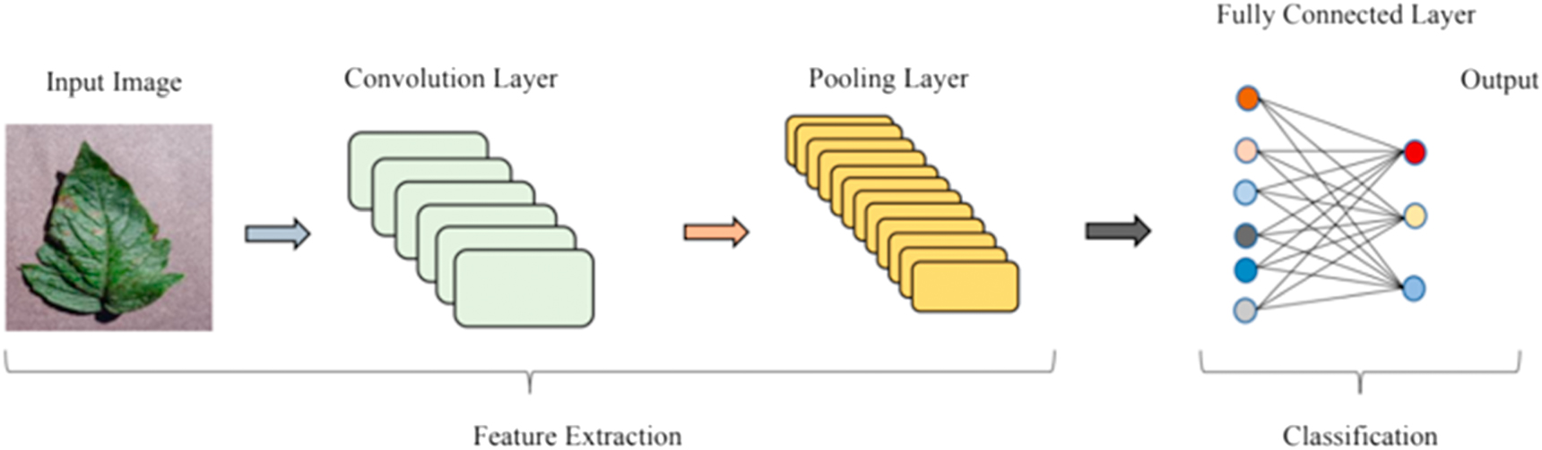 High-performance deep transfer learning model with batch normalization based on multiscale ...