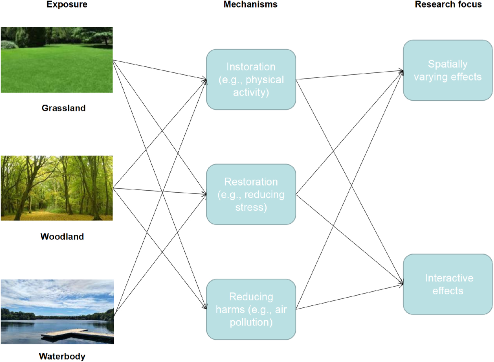 Examining the spatially varying and interactive effects of green and ...