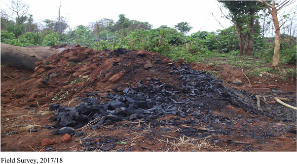 Assessment of human activities and its effects on forest management: a ...