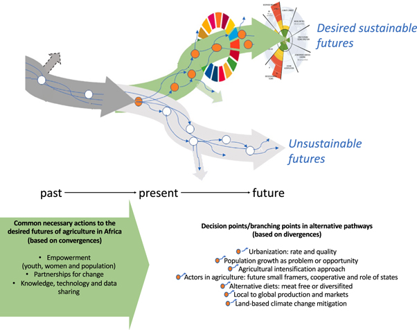 Participatory pathways to the Sustainable Development Goals: inviting ...