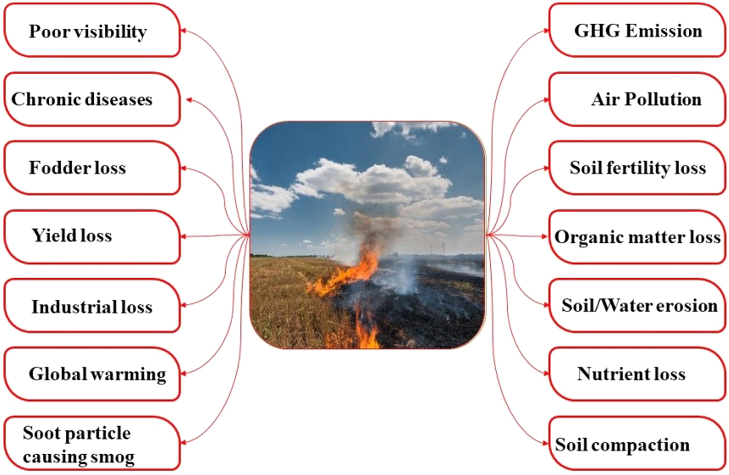 Rice residue burning in Northern India: an assessment of environmental ...