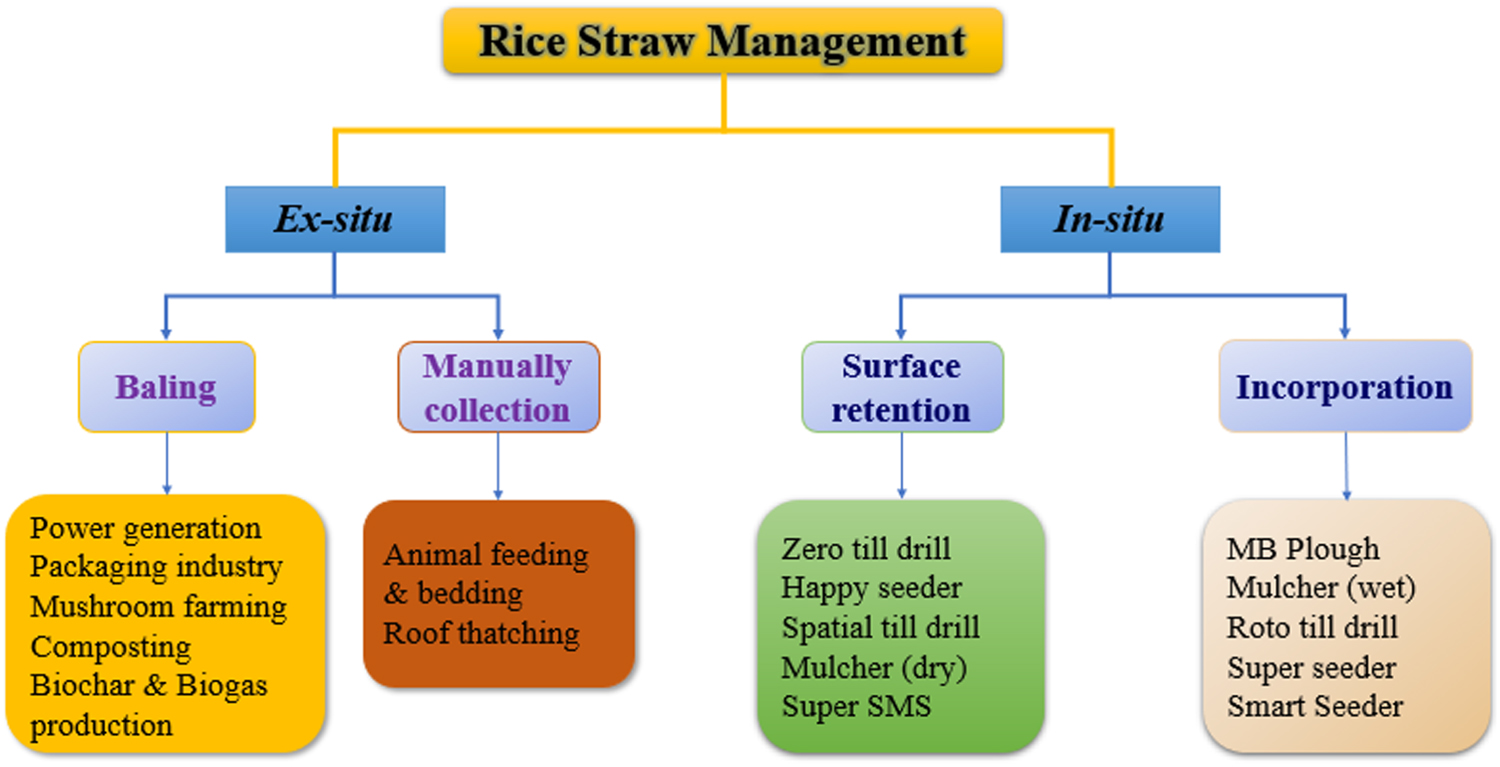 Rice residue burning in Northern India: an assessment of environmental ...