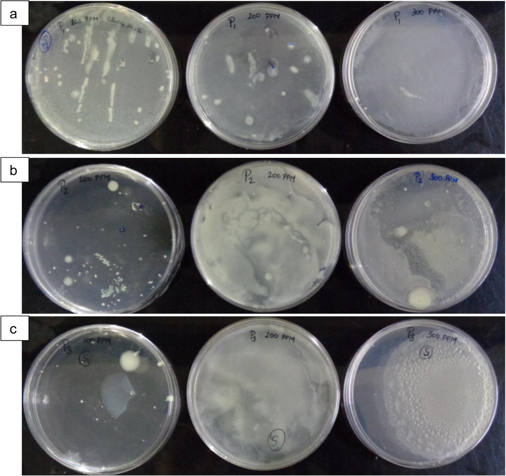 Isolation and Identification of bacteria from the agricultural soil ...