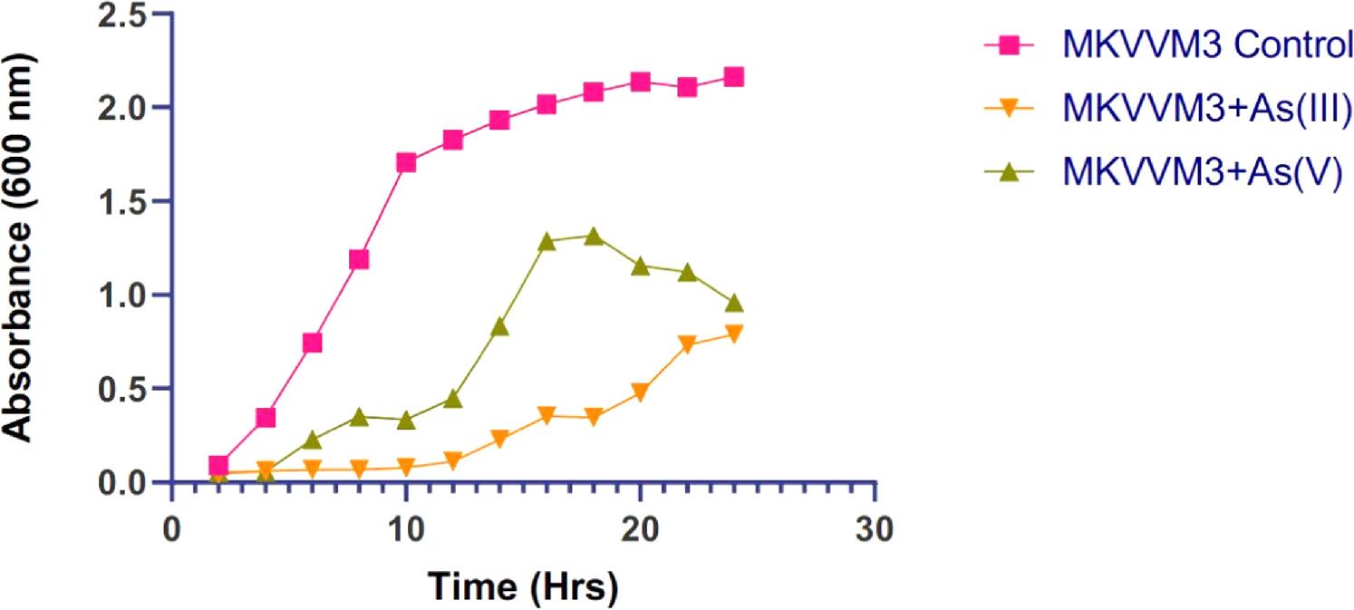Isolation and characterization of arsenic resistant bacterial strian ...