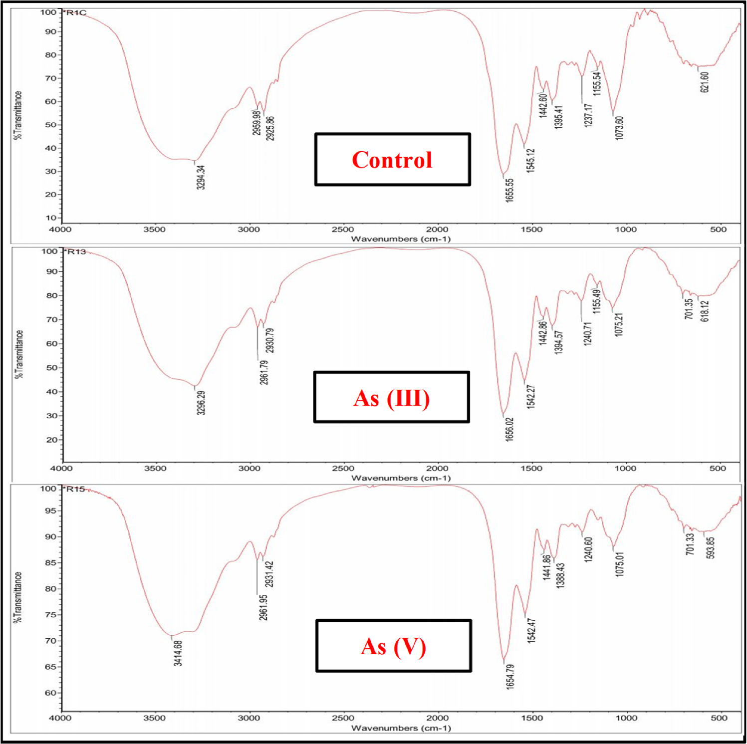 Isolation and characterization of arsenic resistant bacterial strian ...