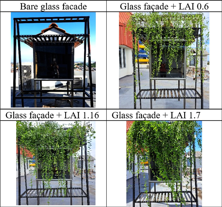 Assessing light performance of vertical greenery shading in tropical ...