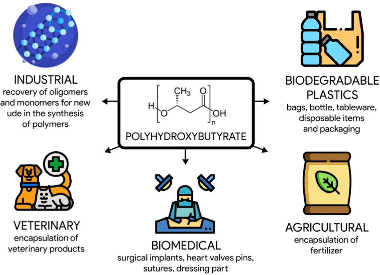 An insight into potential phosphate bioremediation and renewable energy ...