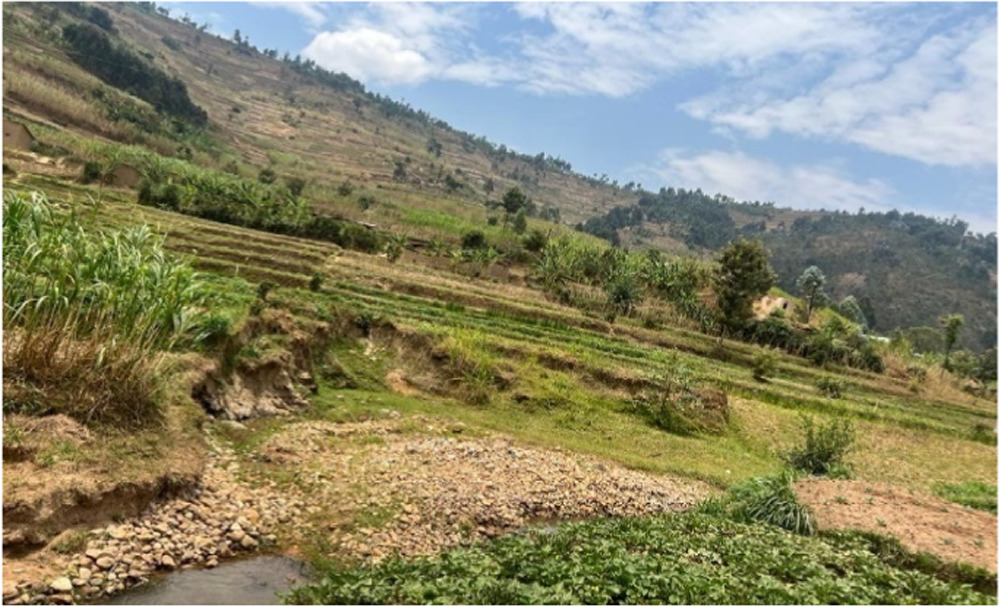 Assessment of impacts of flood and coping strategies among rural ...