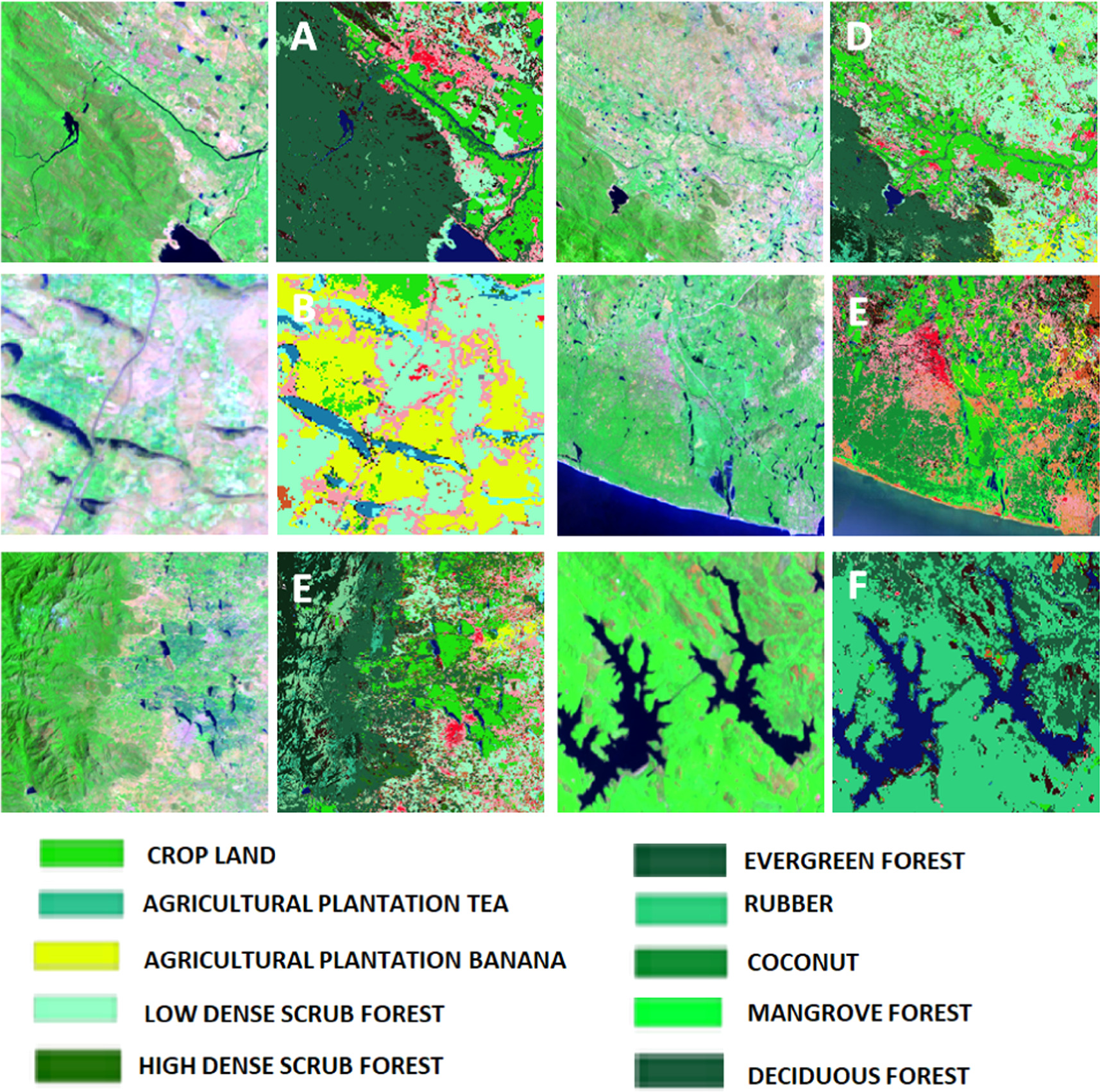 Agroforestry mapping using multi temporal hybrid CNN+LSTM framework ...
