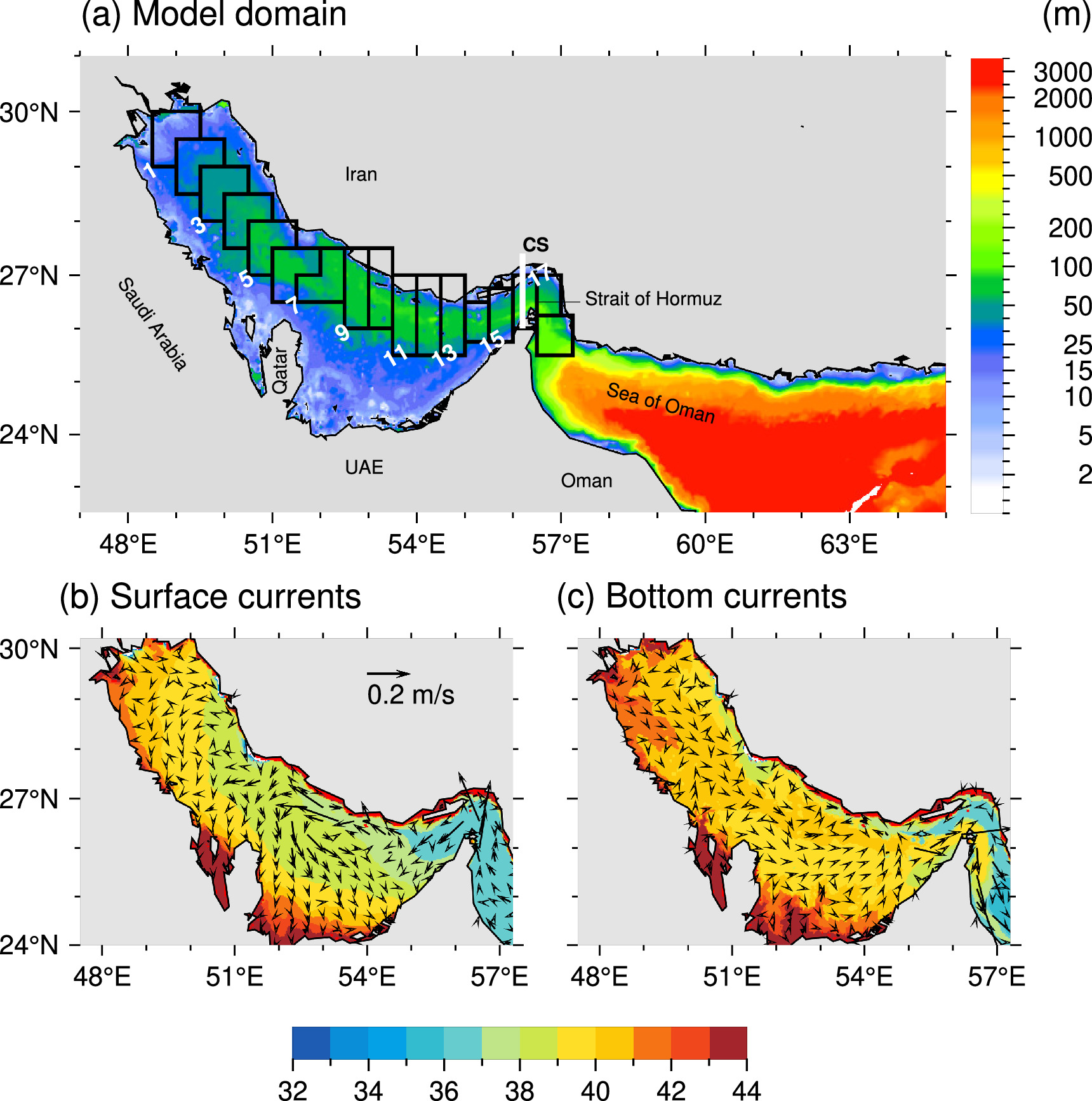 Role of tidal mixing on ocean exchange through the Strait of Hormuz ...