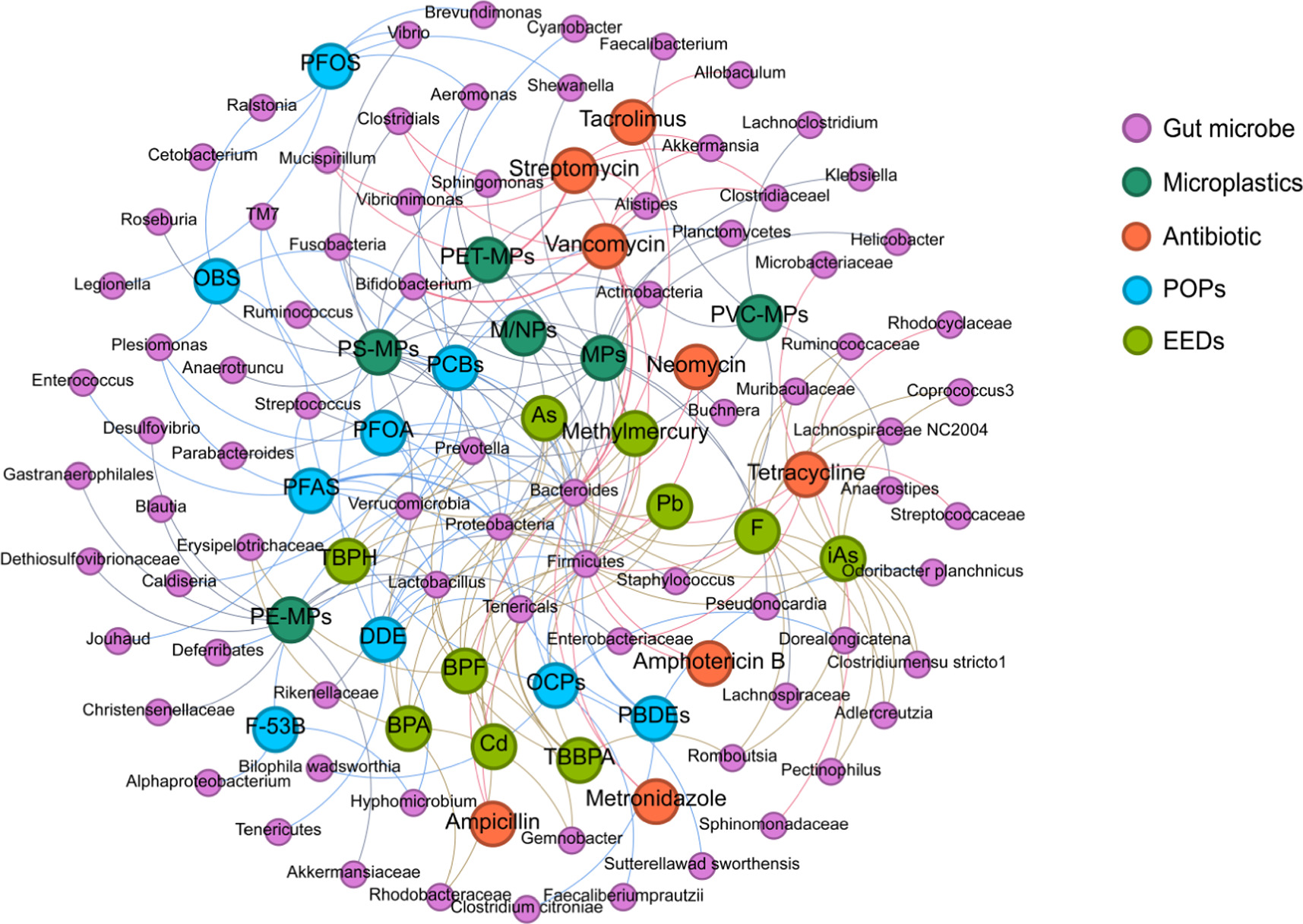 Interactions between gut microbiota and emerging contaminants exposure ...