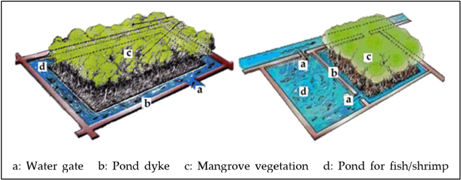 Exploring environmental condition of silvofishery pond to support the ...