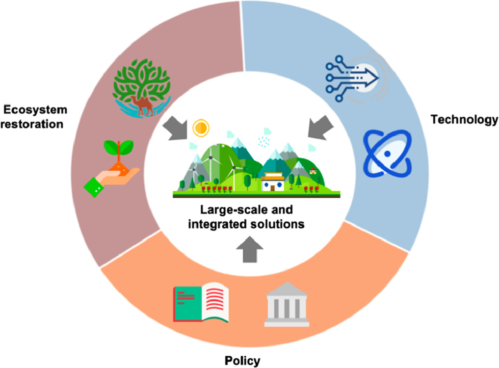 Nature-based Solutions (NbS) in China: implementation and practice ...