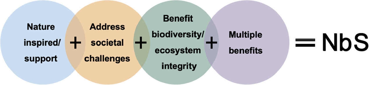 Nature-based Solutions (NbS) in China: implementation and practice ...