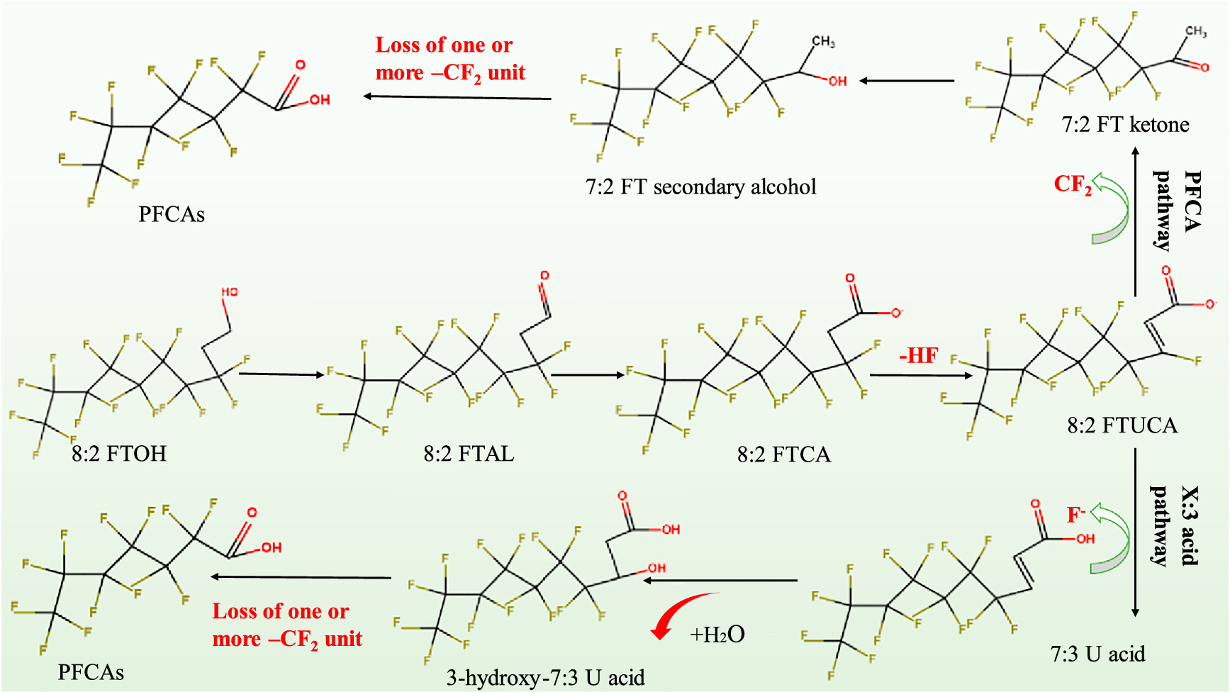 Environmental occurance, human exposure, and metabolism of per- and ...