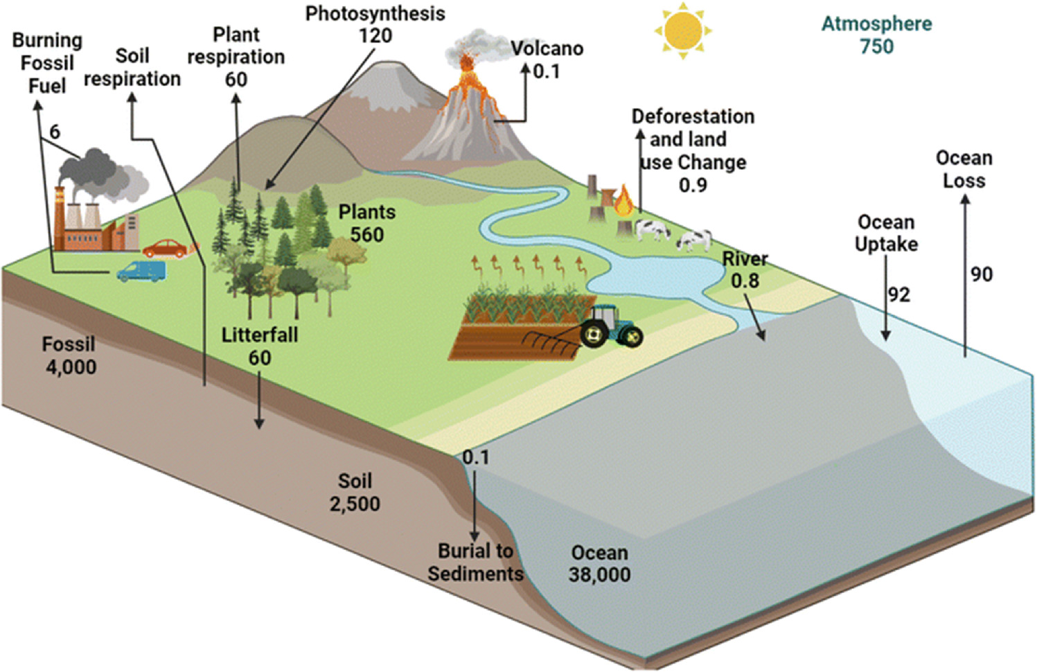 A comprehensive review of carbon sequestration and its assessment ...
