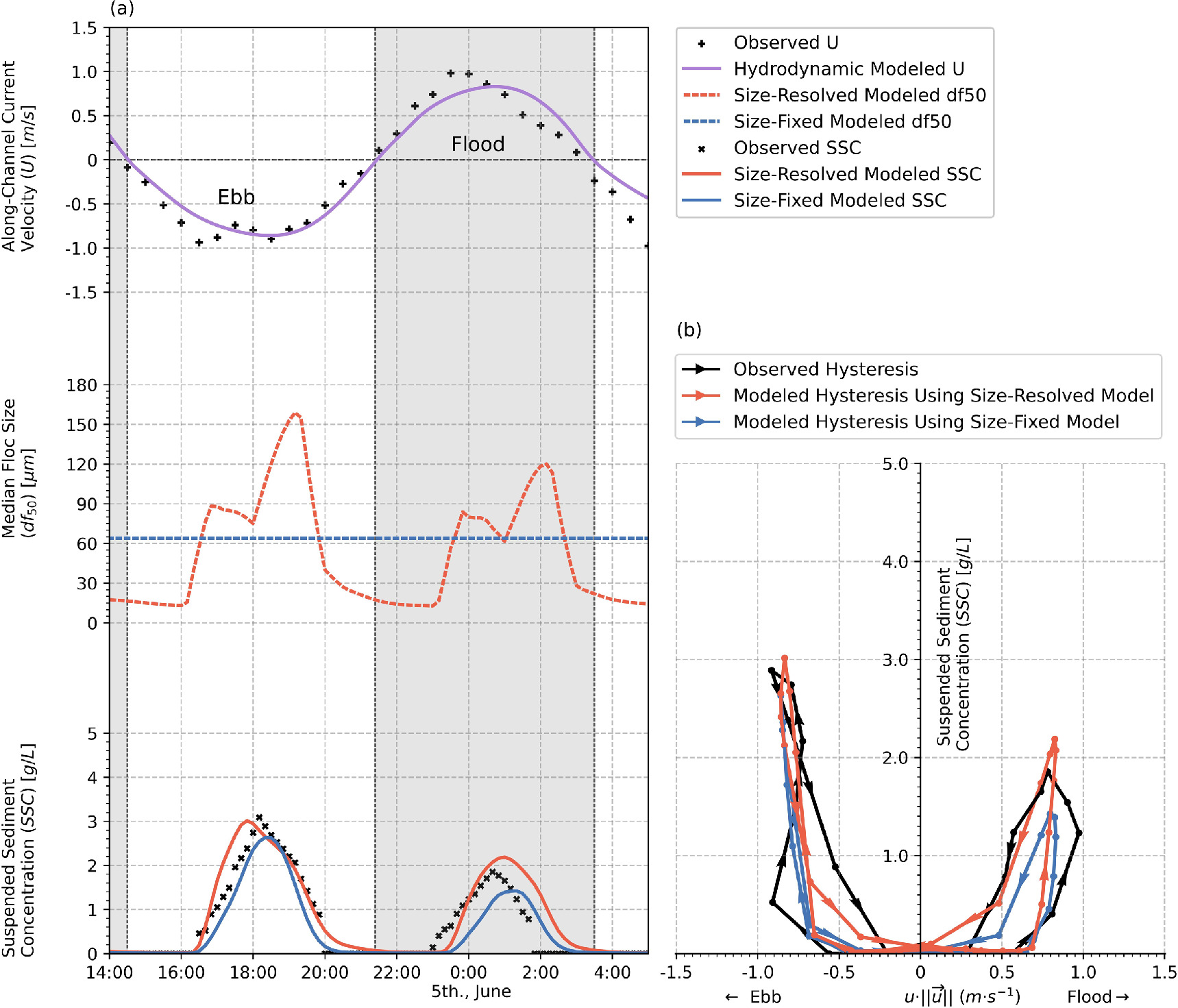 Unraveling the impact of sediment size distribution on flow-sediment ...