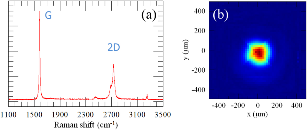 Nanodevices at terahertz frequency based on 2D materials - IOPscience
