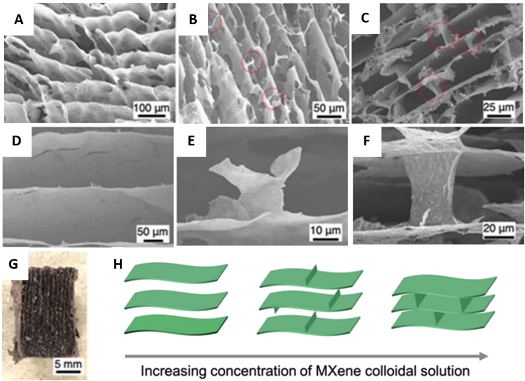 MXene-based 3D porous macrostructures for electrochemical energy ...