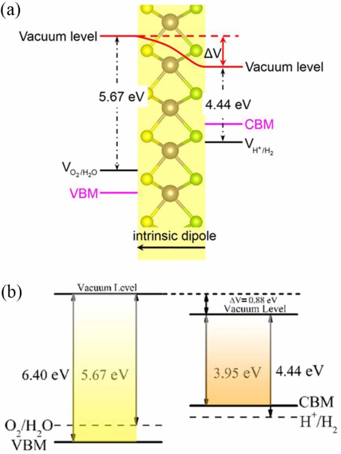 Janus transition metal dichalcogenides: a superior platform for ...