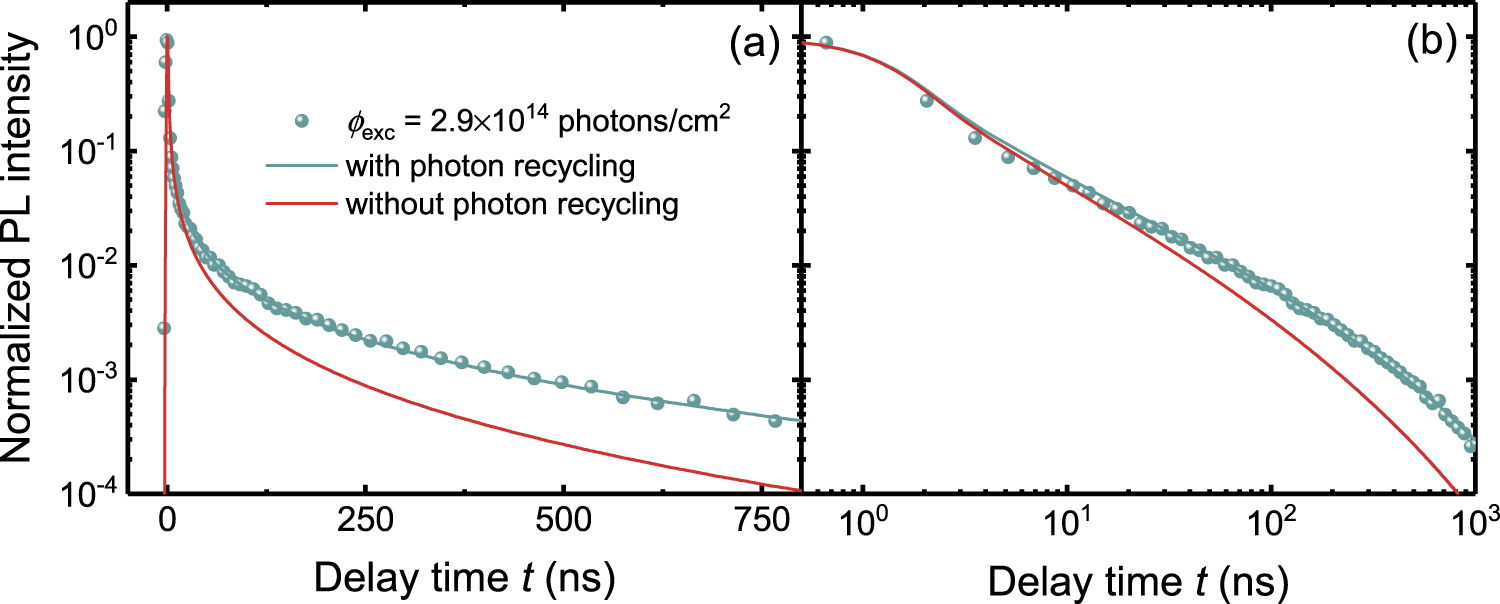 Effect of reabsorption and photon recycling on photoluminescence ...