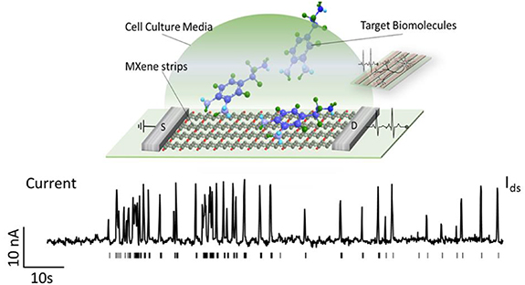 Latest advances in MXene biosensors - IOPscience