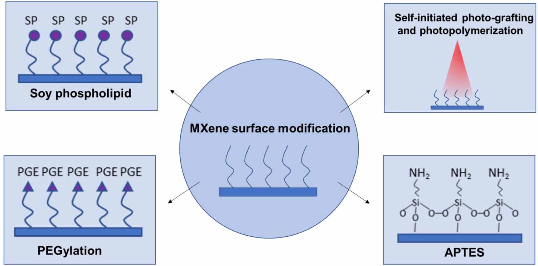 Latest advances in MXene biosensors - IOPscience