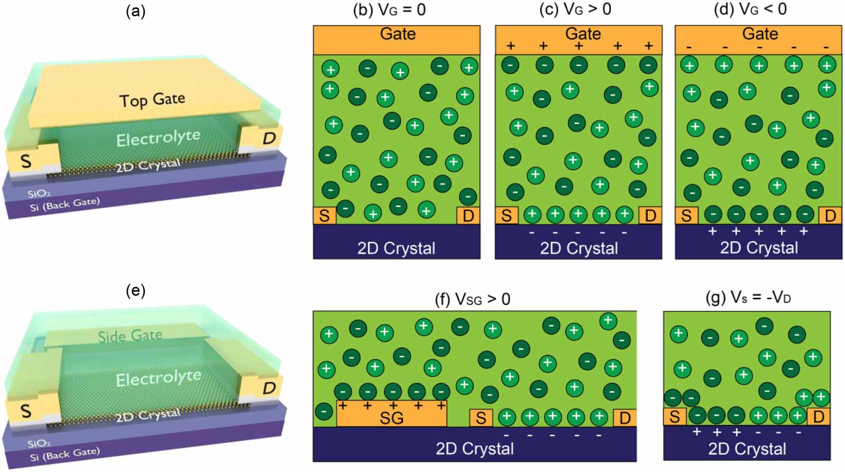 Electric-double-layer-gated transistors based on two-dimensional ...